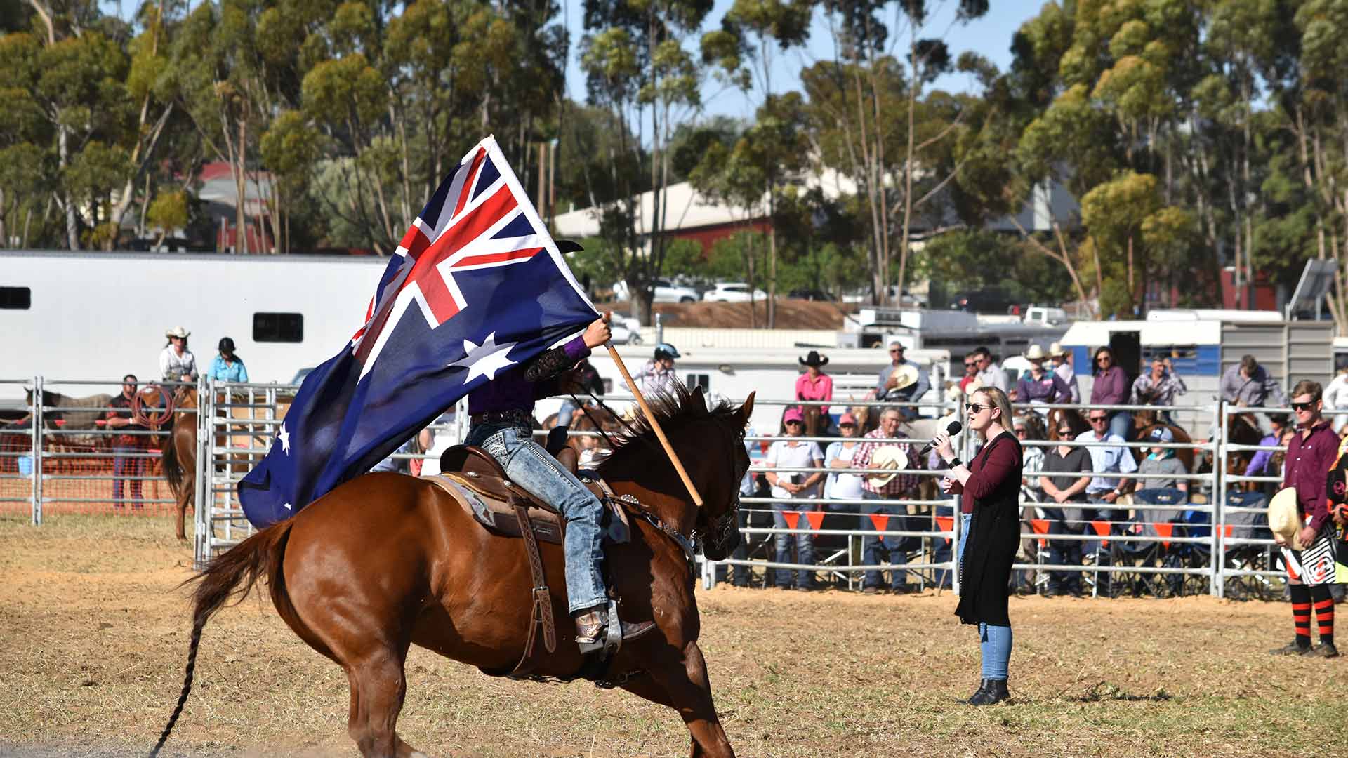 Drover's Encounter | Light Invest